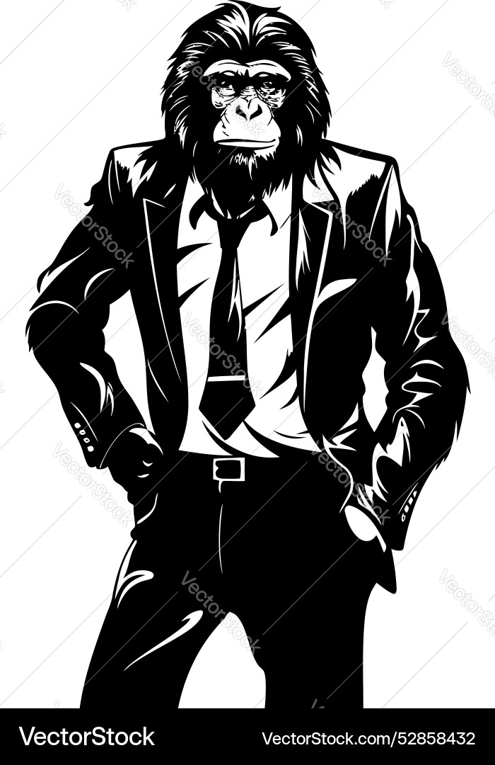 Professional primate long haired ape in formal Vector Image