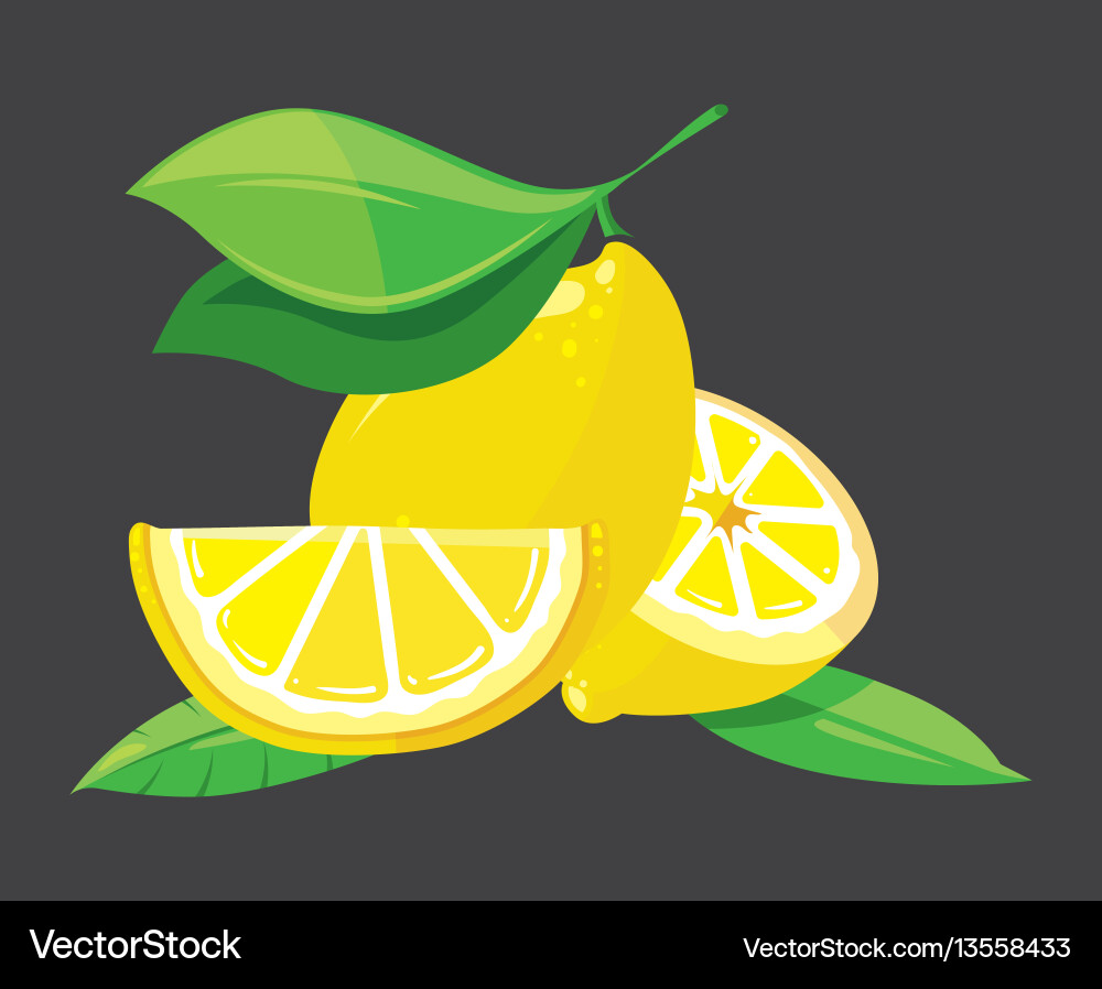 Bright lemons Royalty Free Vector Image - VectorStock