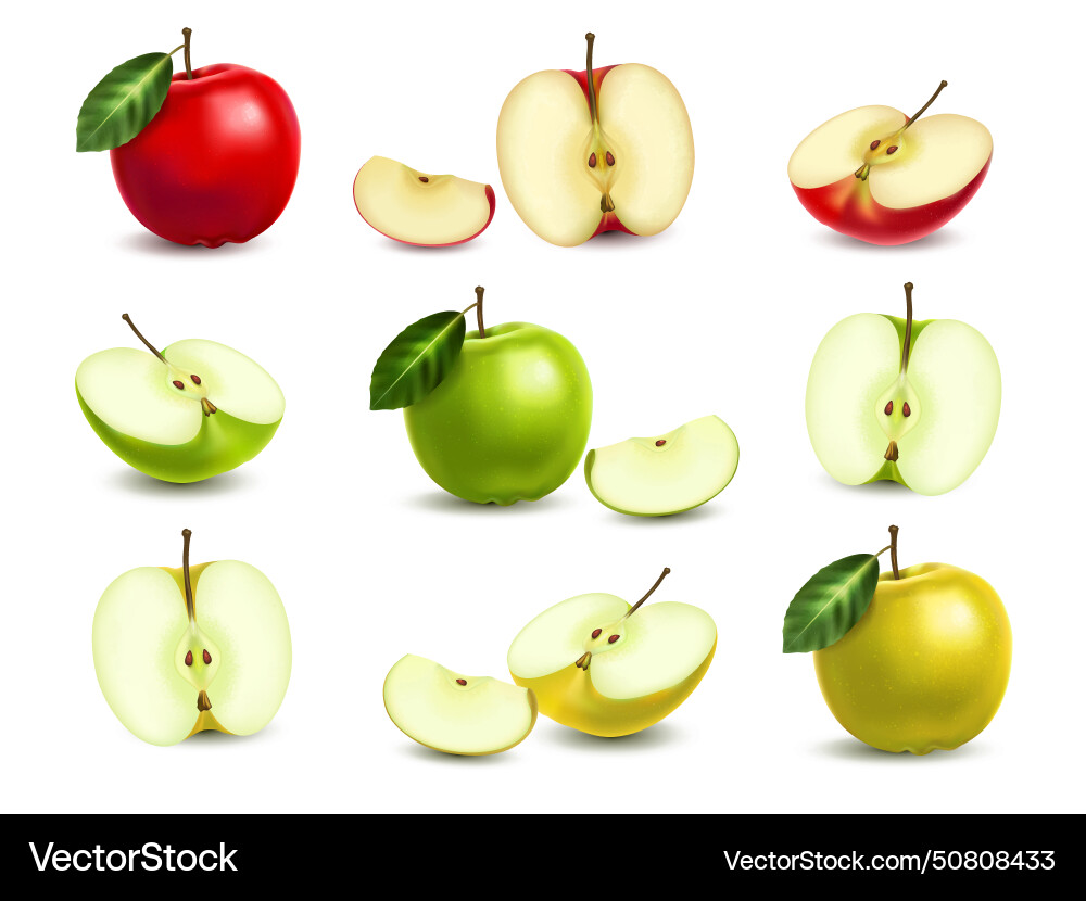 Realistic apple set Royalty Free Vector Image - VectorStock