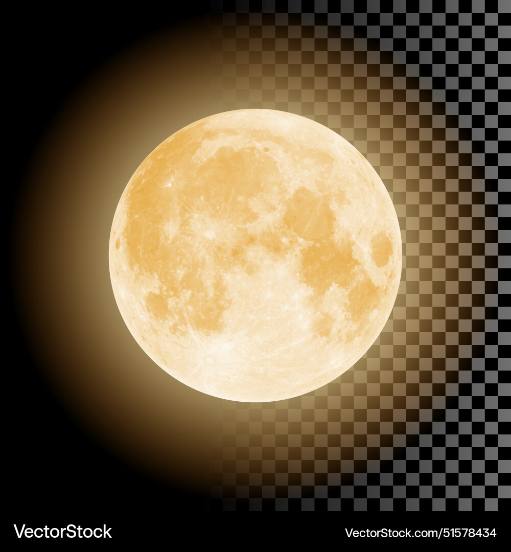 Golden Full Moon Night Royalty Free Vector Image