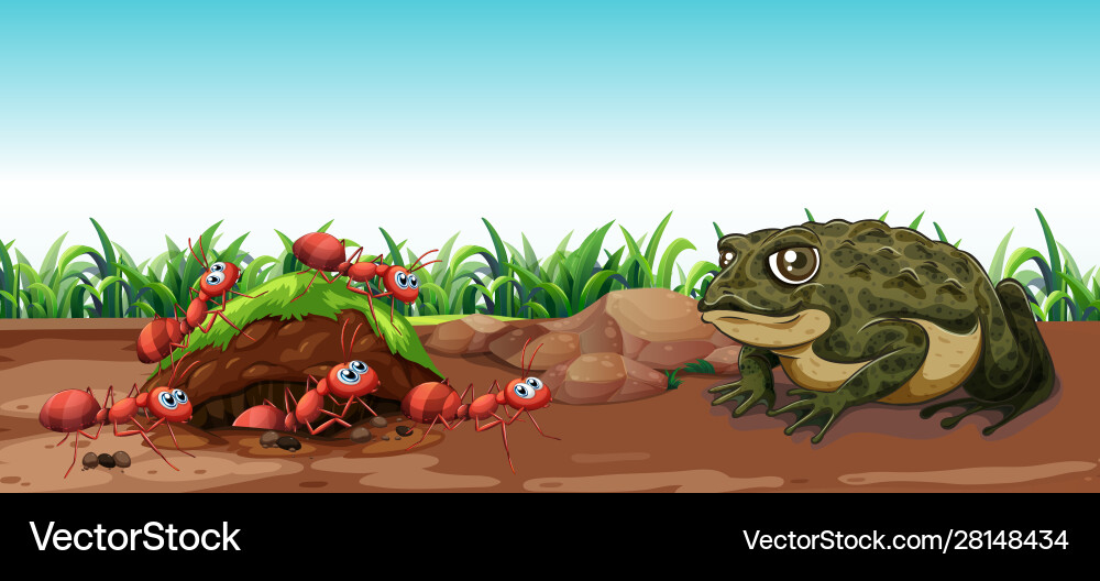 Nature scene with toad and ants Royalty Free Vector Image