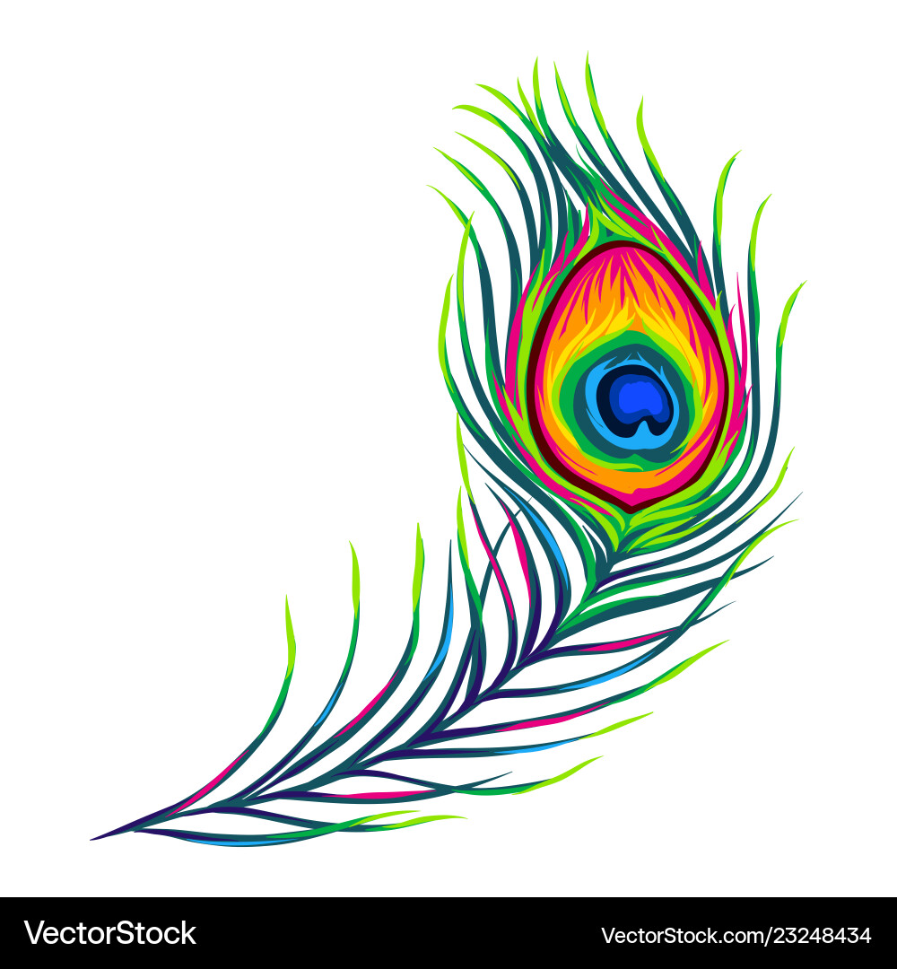 Peacock feather isolated on white background Vector Image