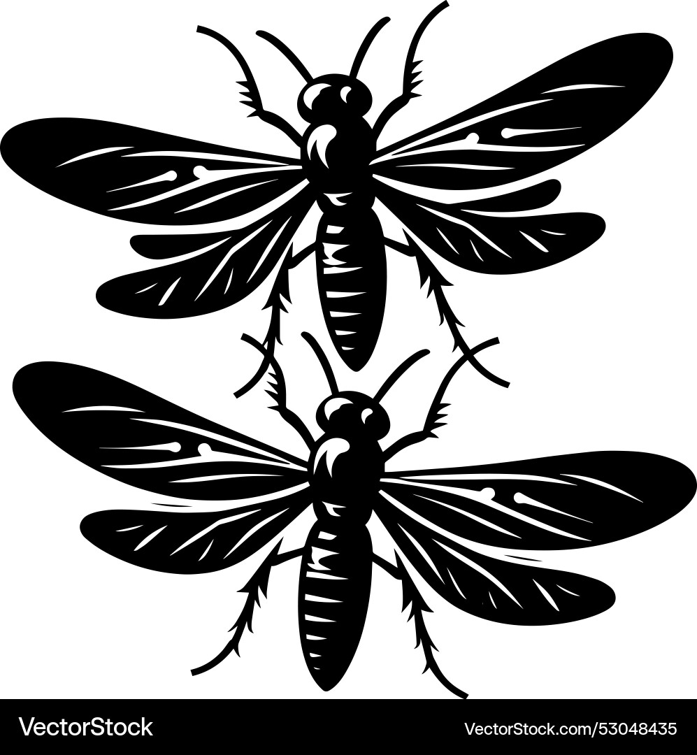 Beautiful firefly insect silhouette isolated Vector Image