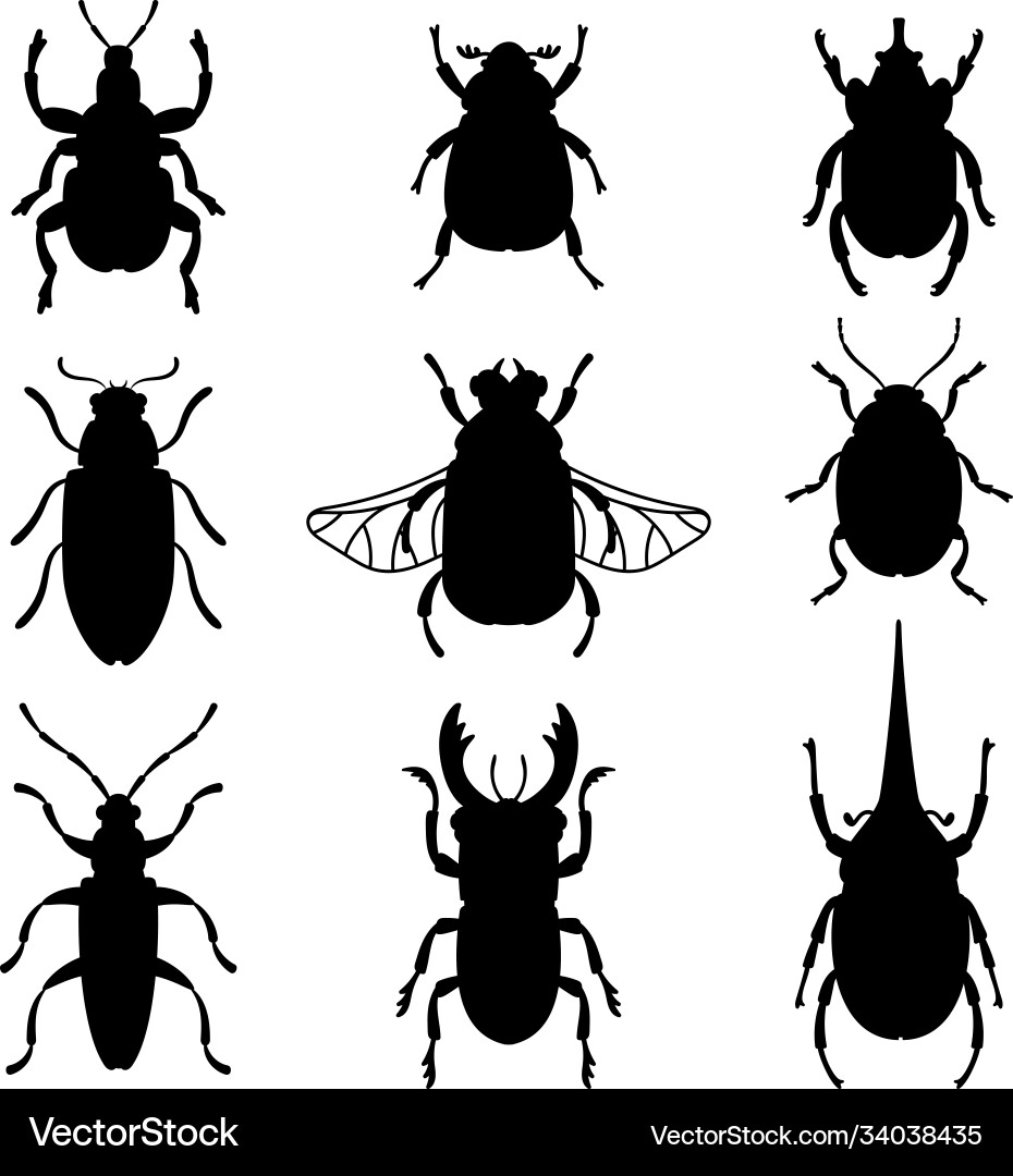 Bugs Silhouettes Set Royalty Free Vector Image
