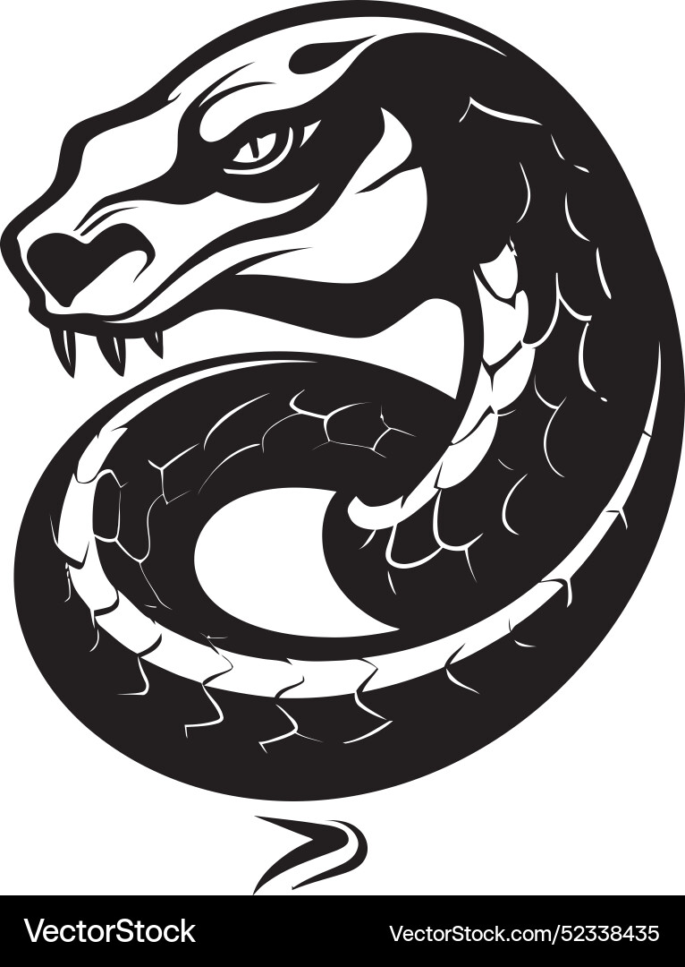Onyx elegance snake viper black Royalty Free Vector Image