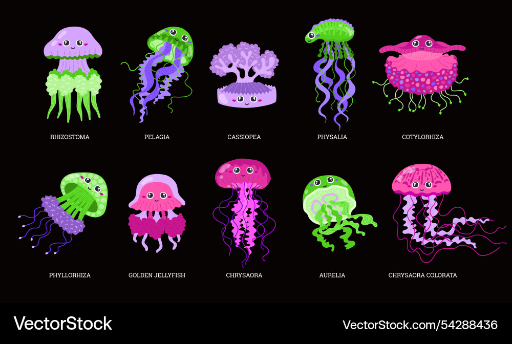 Cute jellyfish set Royalty Free Vector Image - VectorStock