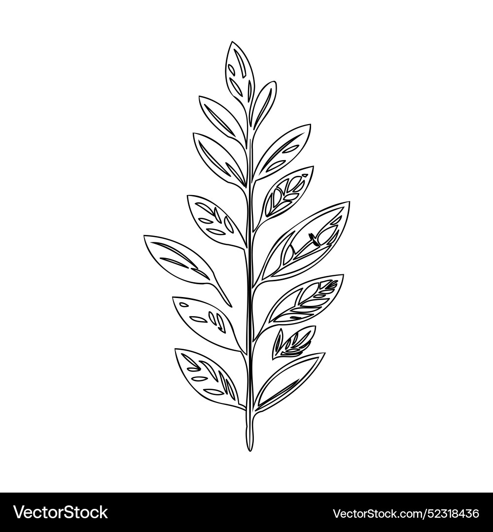 Flower plant outline sketch Royalty Free Vector Image