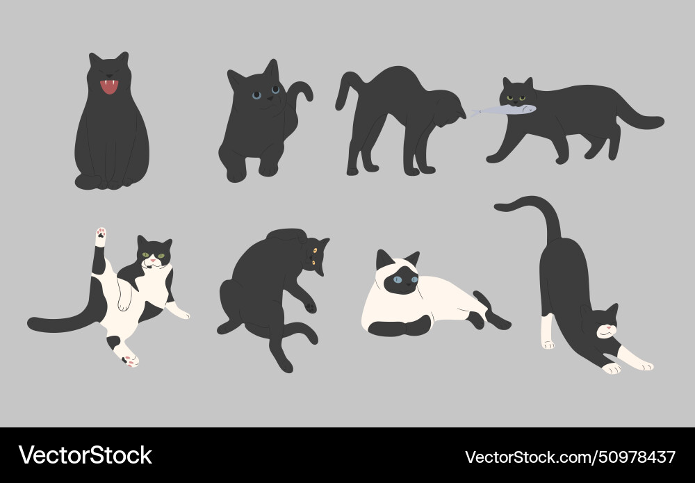 Black cat 2 Royalty Free Vector Image - VectorStock