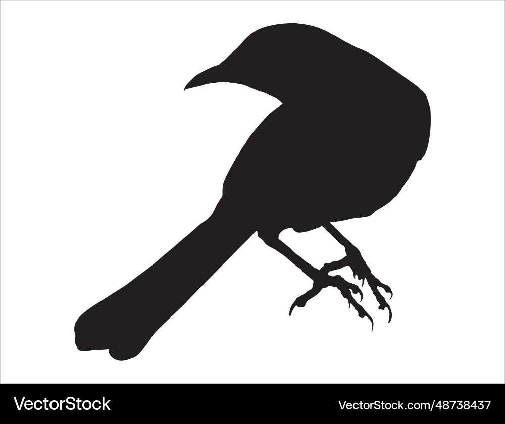 Mockingbird silhouette art Royalty Free Vector Image