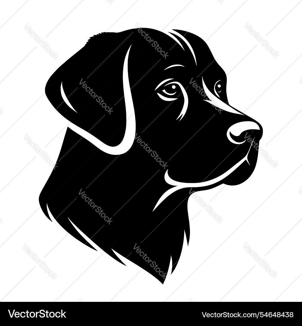 Black Labrador Retriever Head Silhouette Vector Image