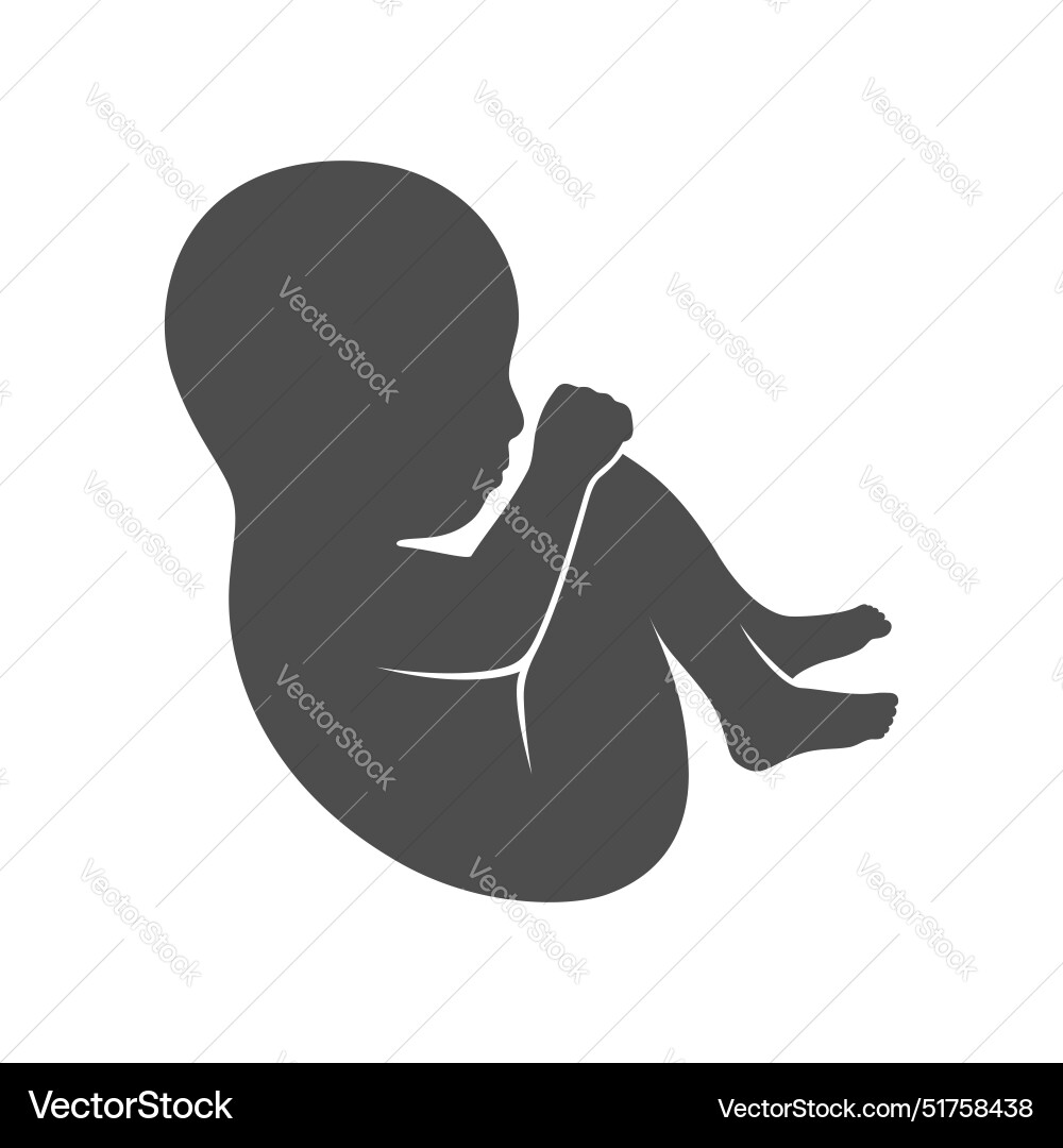 Fetus icon Royalty Free Vector Image - VectorStock