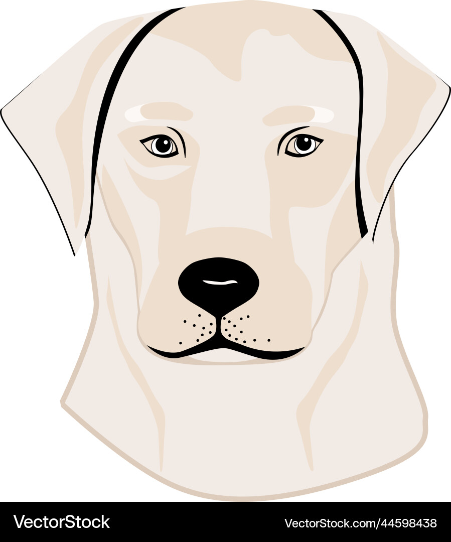 Labrador retriever silhouette line art Royalty Free Vector