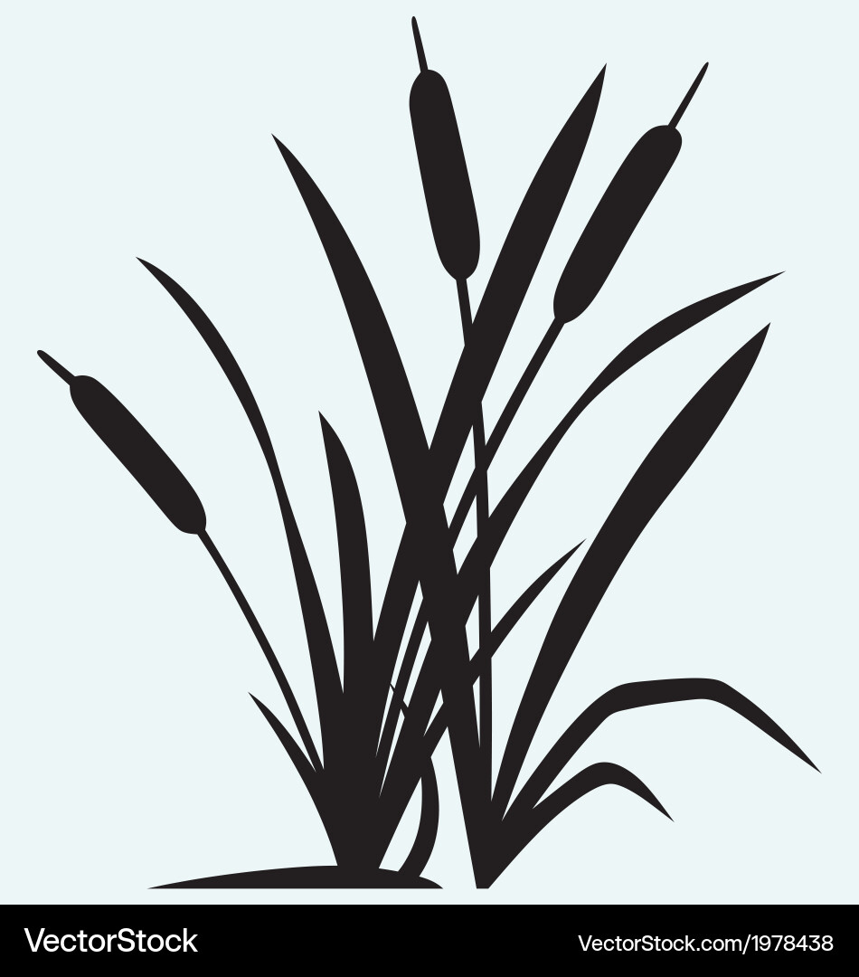 Rushi Vector Images (77)