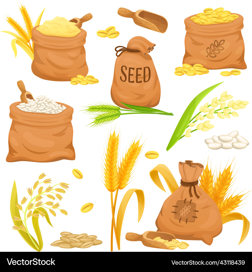 Cartoon sacks with wheat sack sheaf spikelet Vector Image