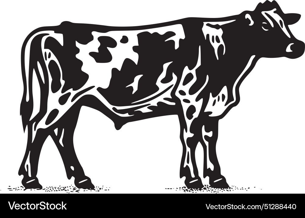 Cow - black and white Royalty Free Vector Image