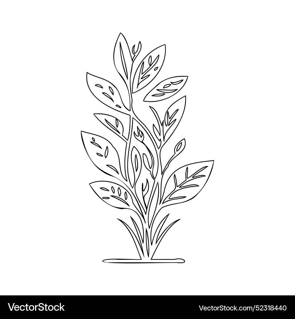 Flower plant outline sketch Royalty Free Vector Image