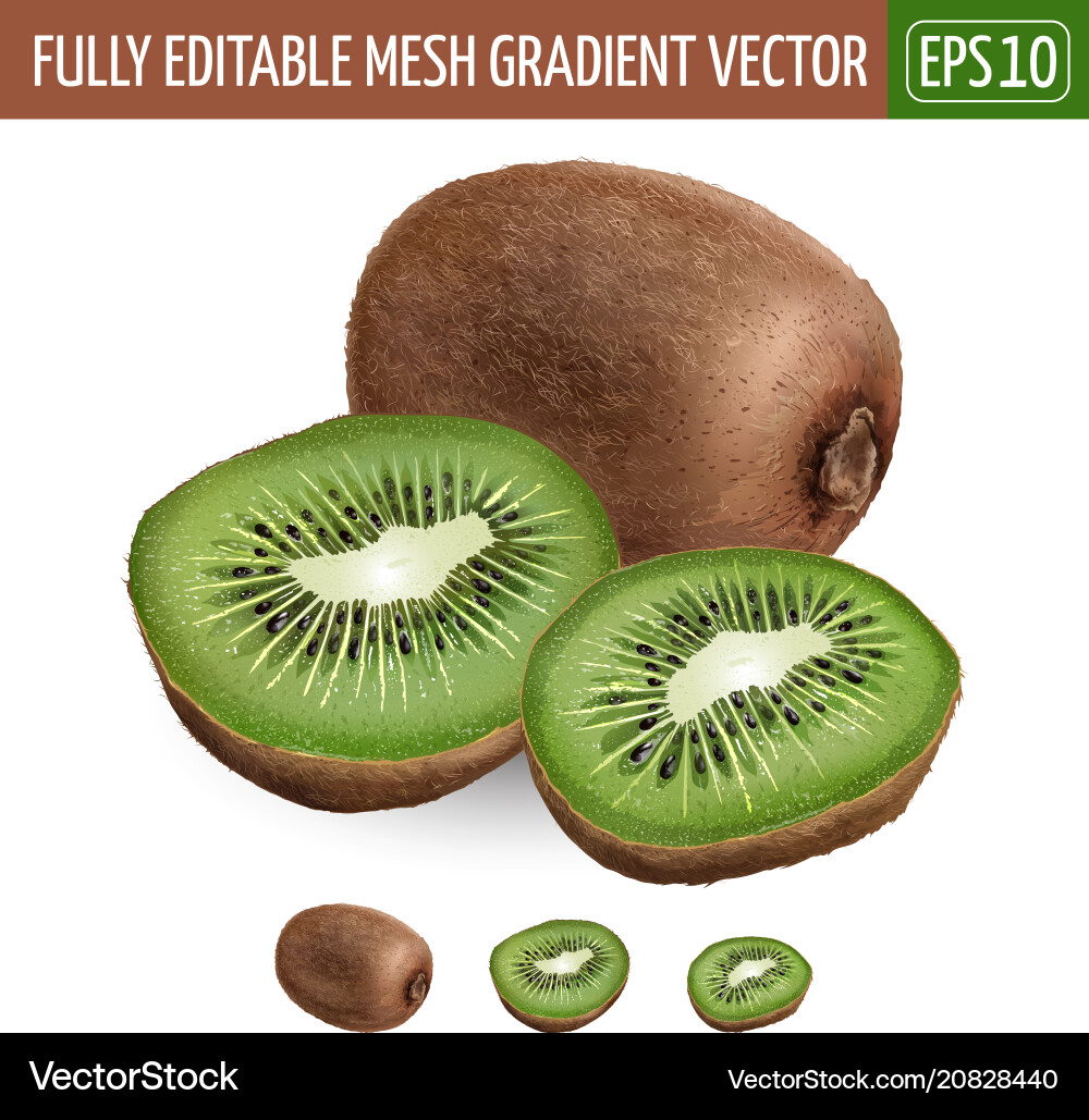 Kiwi on white background Royalty Free Vector Image