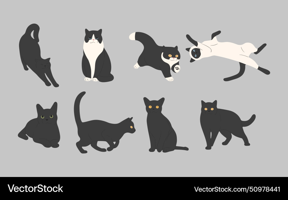 Black cat 6 Royalty Free Vector Image - VectorStock