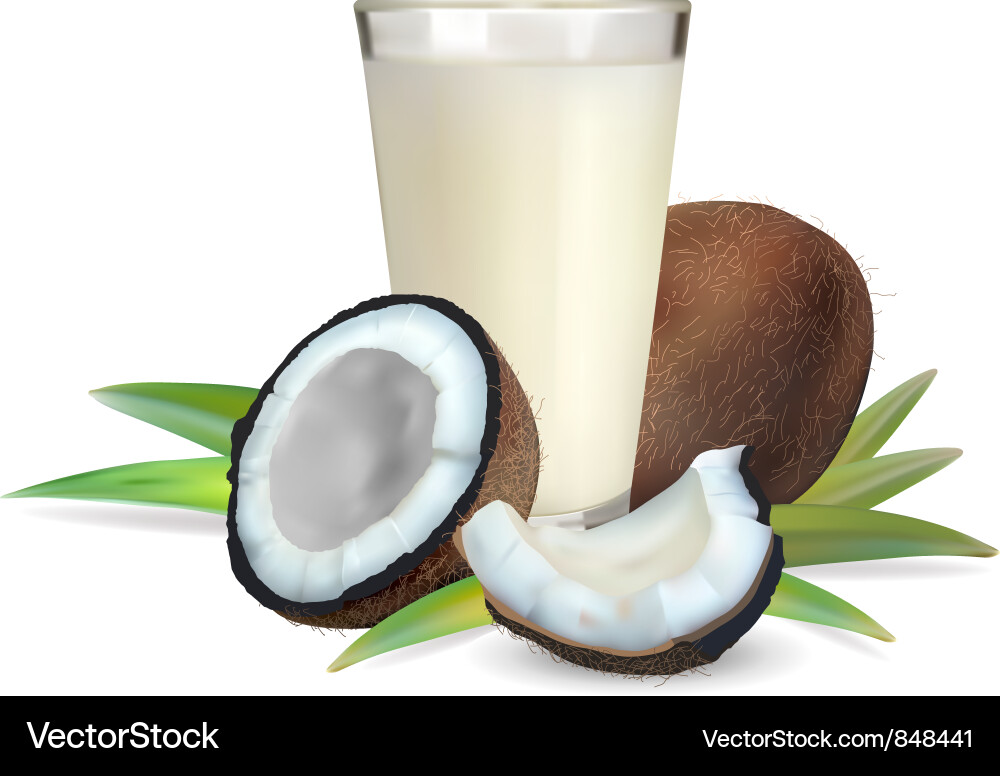 Coconut Royalty Free Vector Image - VectorStock
