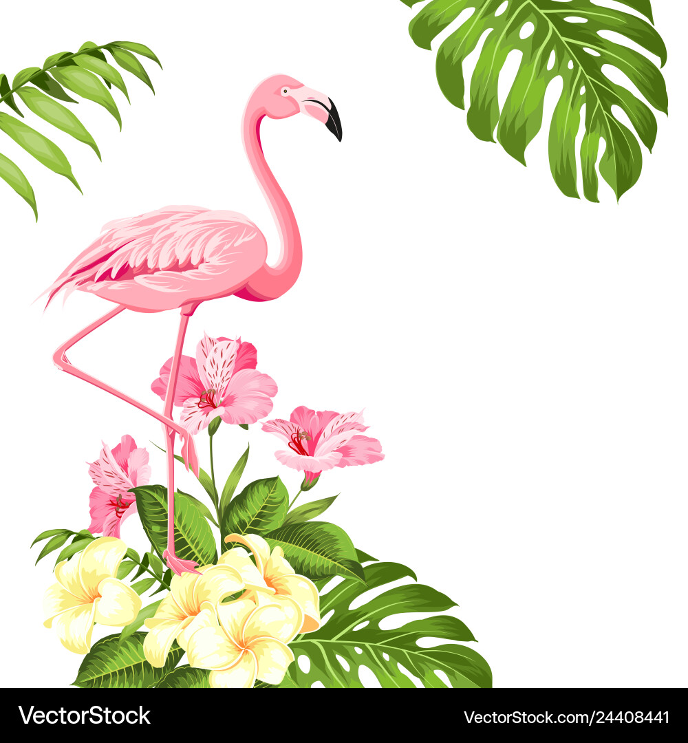 Flamingo background design tropical flowers Vector Image