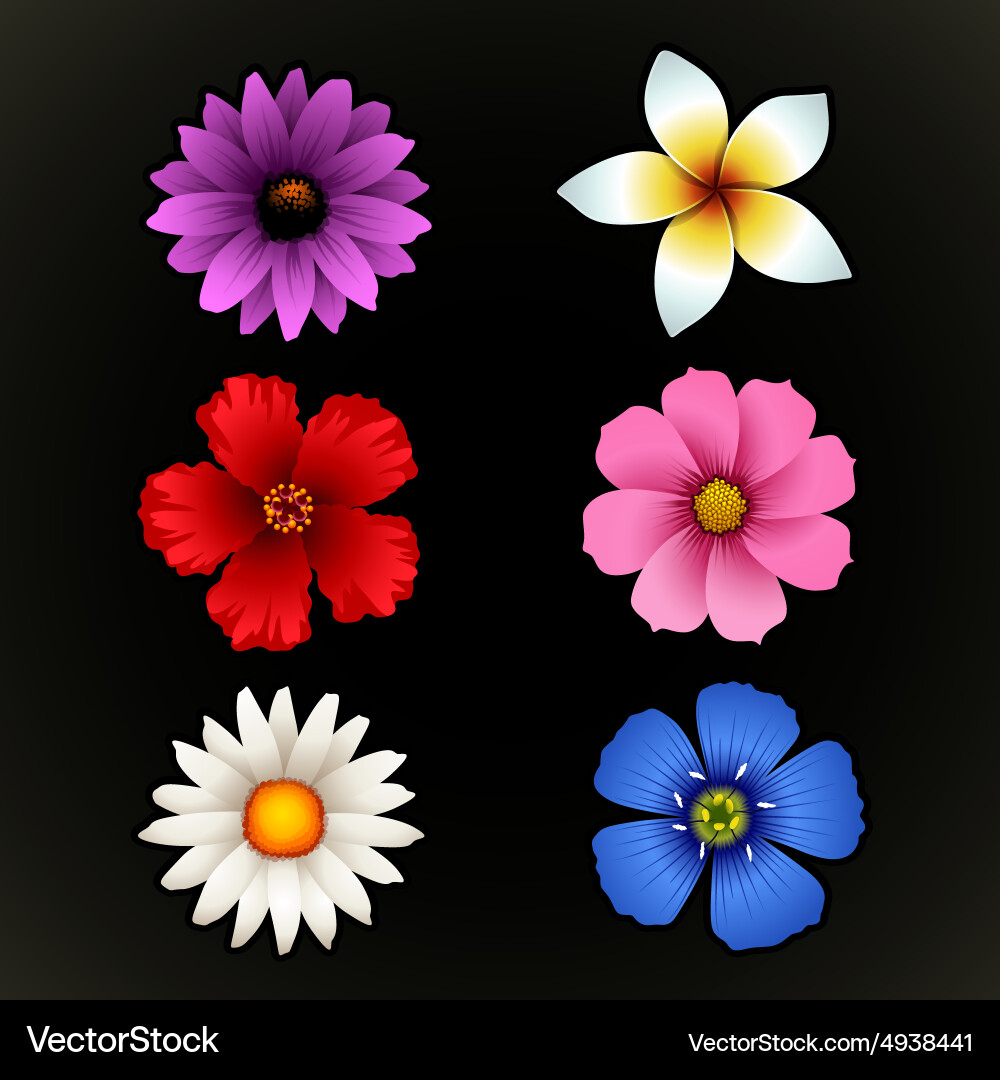 Flower isolated Royalty Free Vector Image - VectorStock
