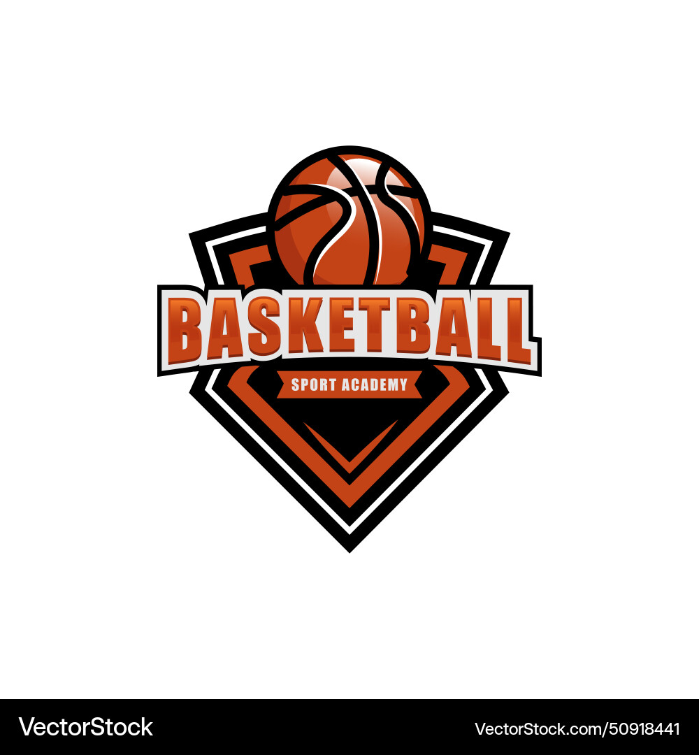 Modern professional basketball logo design Vector Image