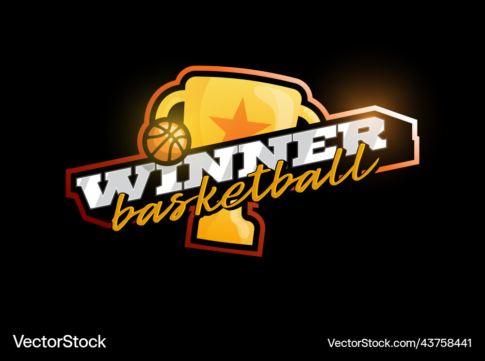 Winner basketball logo modern professional Vector Image