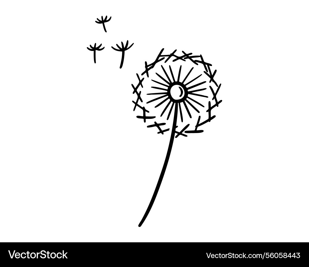 Dandelion icon doodle hand drawn outline drawing Vector Image