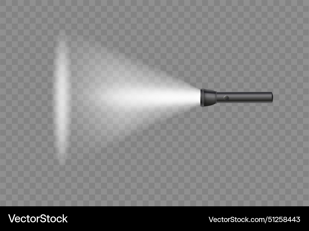 Flashlight on a transparent background shine Vector Image