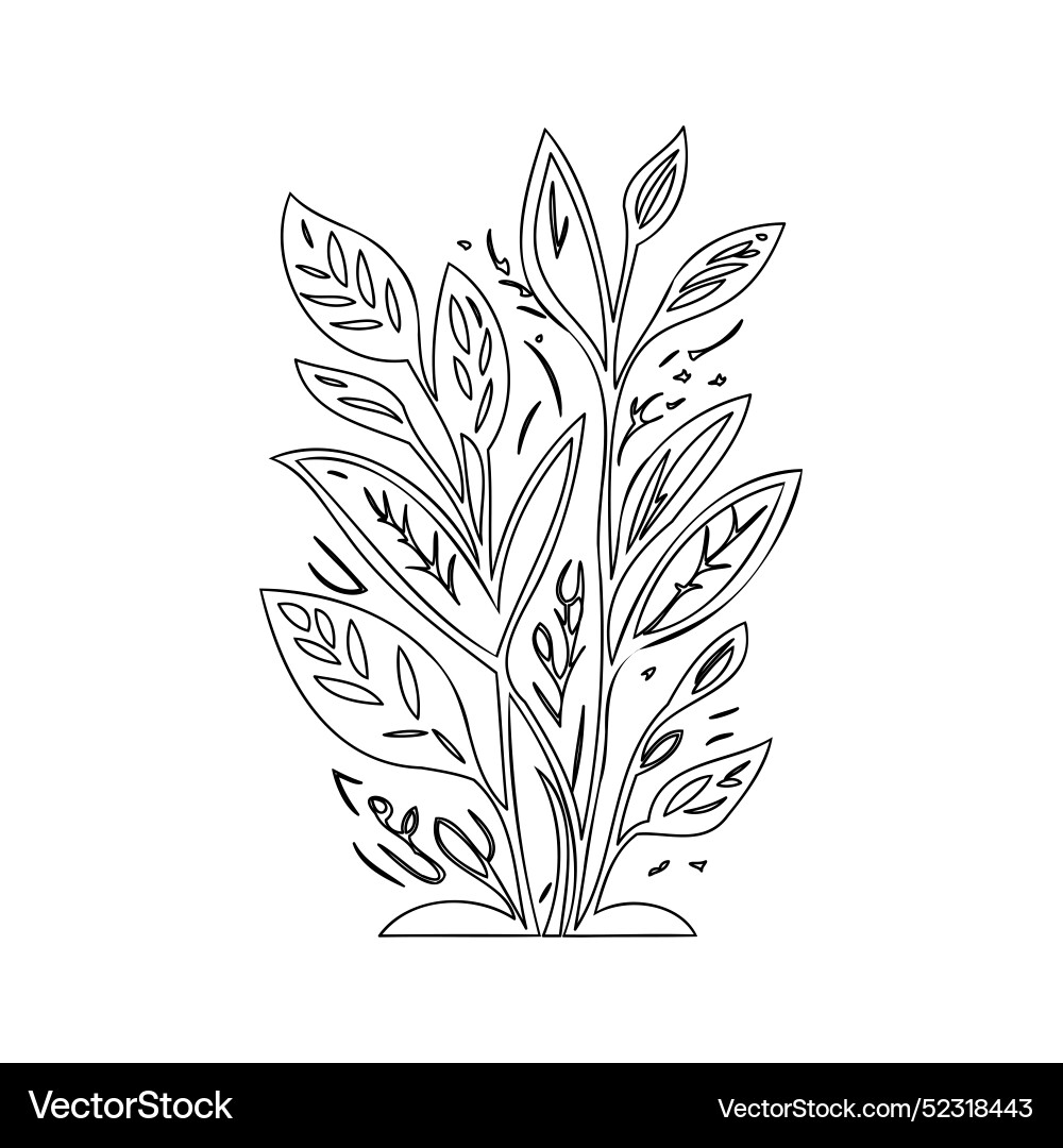 Flower plant outline sketch Royalty Free Vector Image