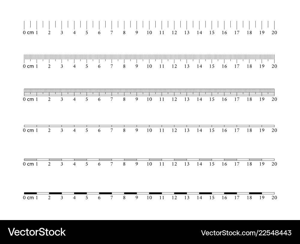 Metric and Imperial Ruler Royalty Free Vector Image