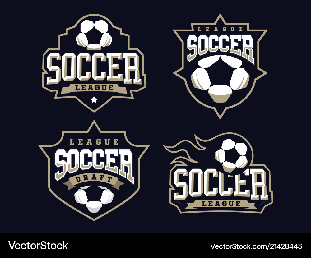 Modern professional soccer logo set for sport team