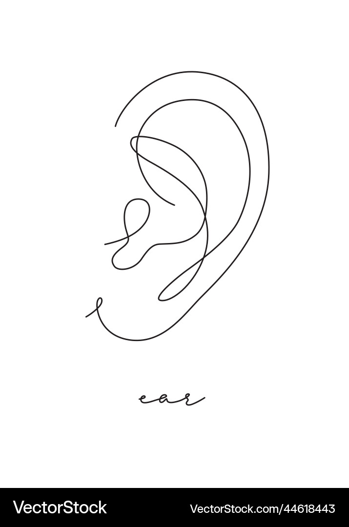 Pen Line Anatomy Ear Royalty Free Vector Image