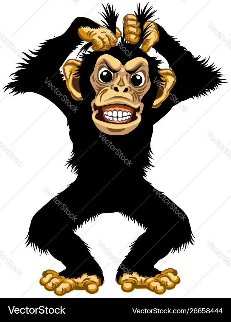 Angry cartoon chimp Royalty Free Vector Image - VectorStock
