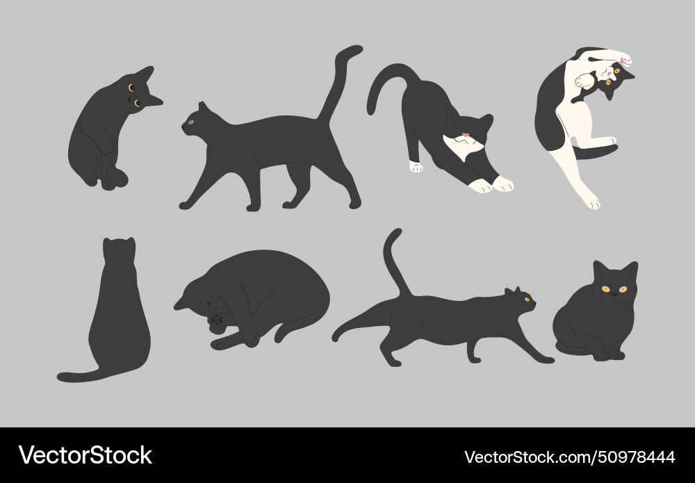 Black cat 9 Royalty Free Vector Image - VectorStock