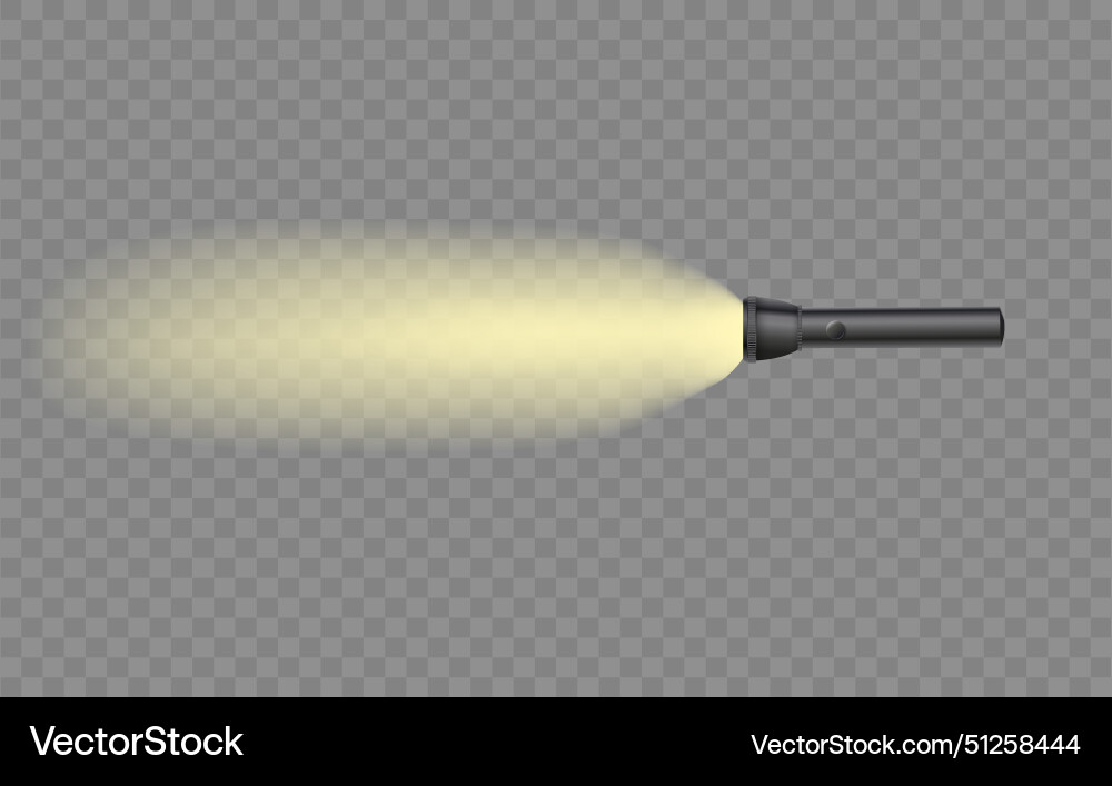 Flashlight on a transparent background shine Vector Image