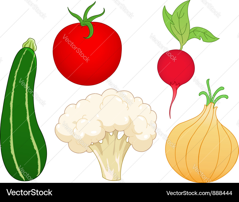 Vegetable set Royalty Free Vector Image - VectorStock