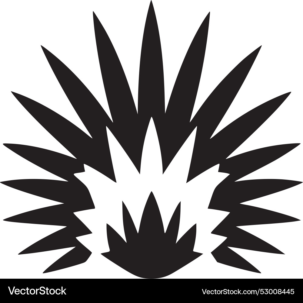 Explosion - minimalist and simple silhouette Vector Image