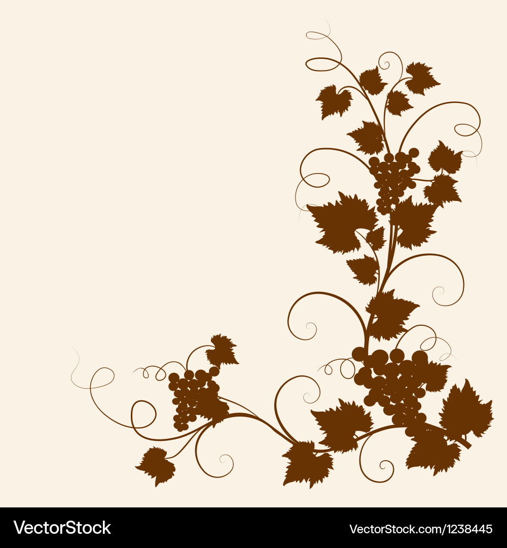 Grape vine Royalty Free Vector Image - VectorStock