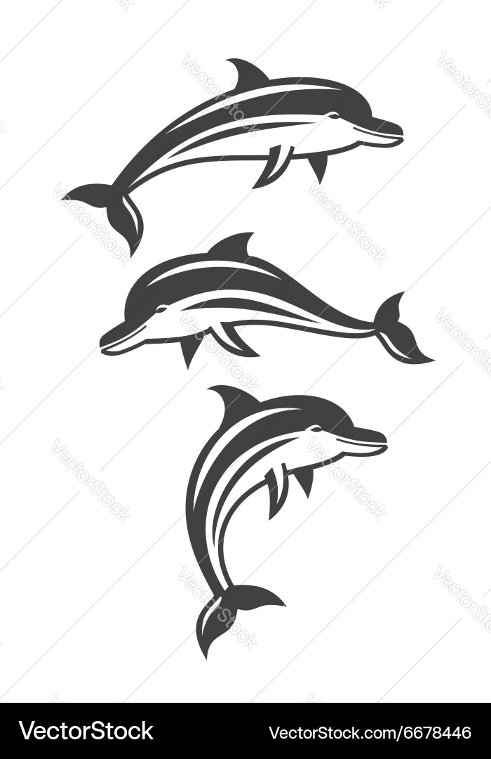 Dolphin Icon Set Royalty Free Vector Image - VectorStock