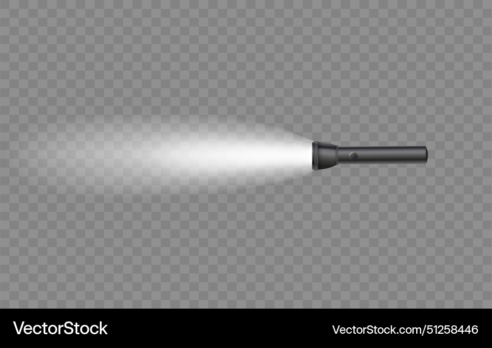 Flashlight on a transparent background shine Vector Image