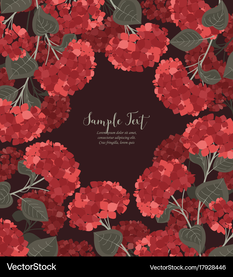 Hydrangea flower Royalty Free Vector Image - VectorStock