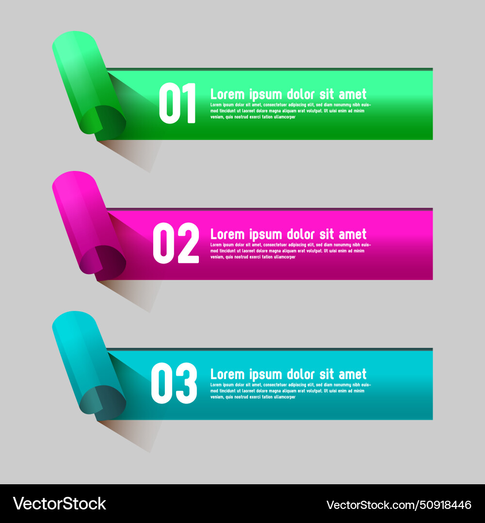 Roll paper color labels banner infographic Vector Image