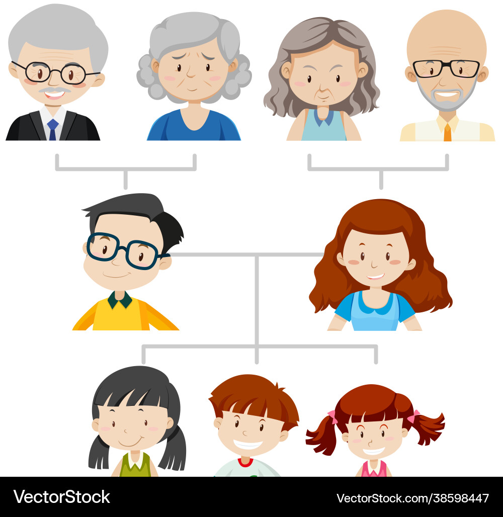 Diagram showing three generation family tree Vector Image
