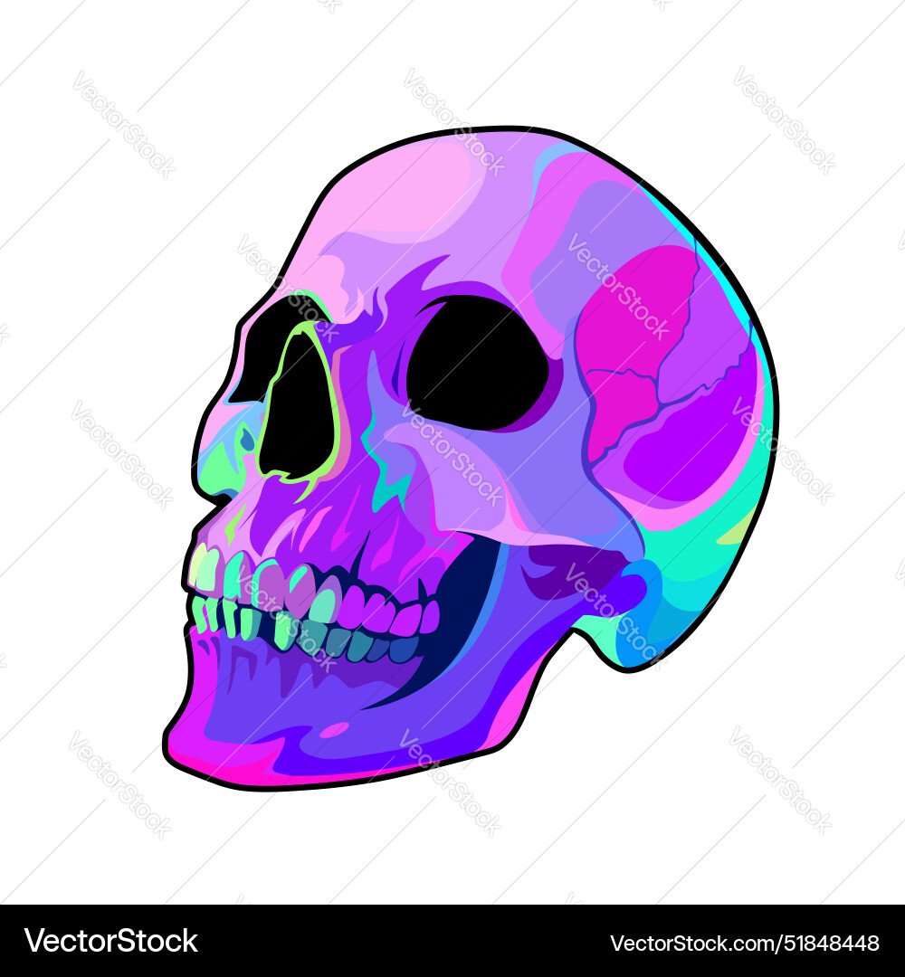 Drawn colorful human skull Royalty Free Vector Image