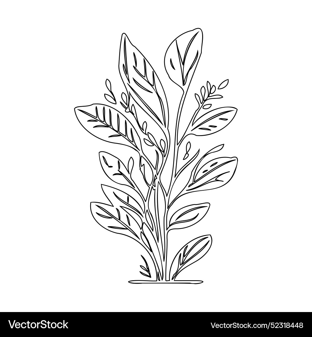 Flower plant outline sketch Royalty Free Vector Image