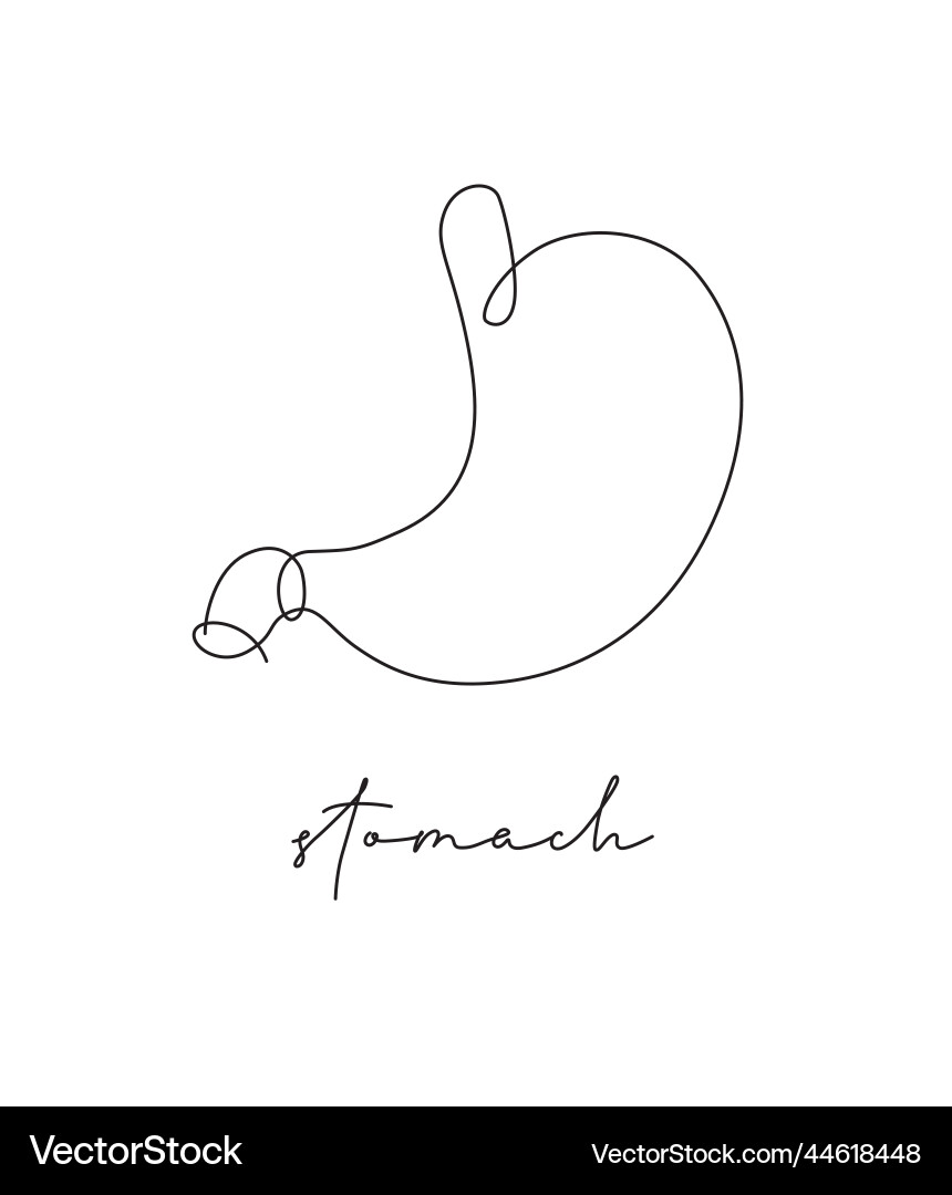 Pen line poster stomach Royalty Free Vector Image