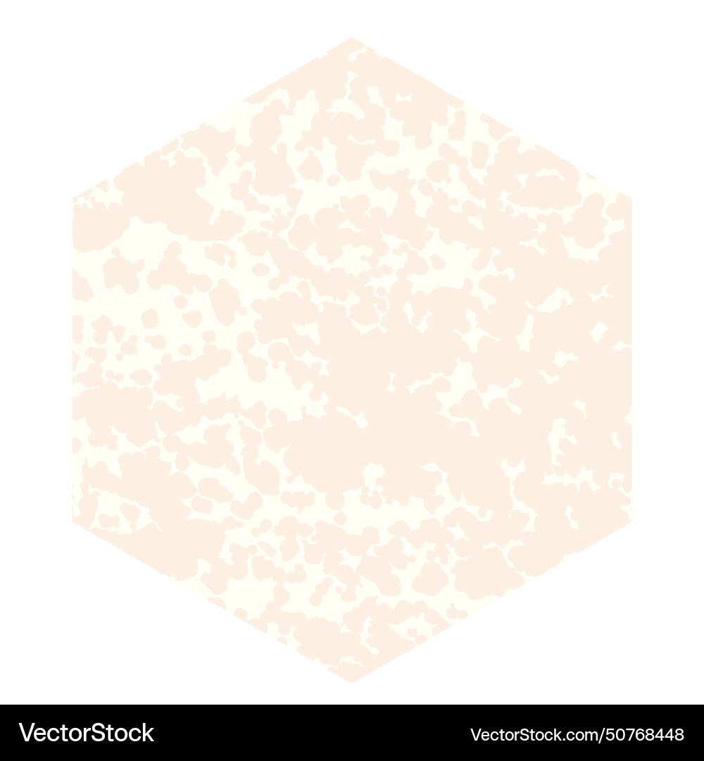 Simple empty hexagon with texture isolated Vector Image