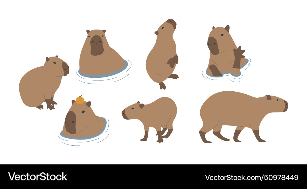 Capybara 2 Royalty Free Vector Image - VectorStock