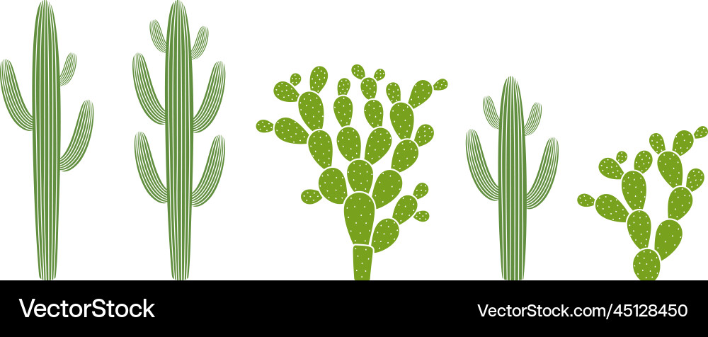 Cactus Royalty Free Vector Image - VectorStock